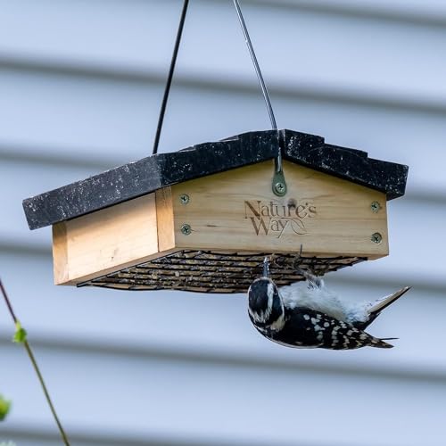 Nature's Way Bird Products CWF2 Cedar wood Suet Upside-Down Bird Feeder, 8.5"L x 8.5"W x 4.13"H, Black