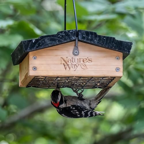 Nature's Way Bird Products CWF2 Cedar wood Suet Upside-Down Bird Feeder, 8.5"L x 8.5"W x 4.13"H, Black