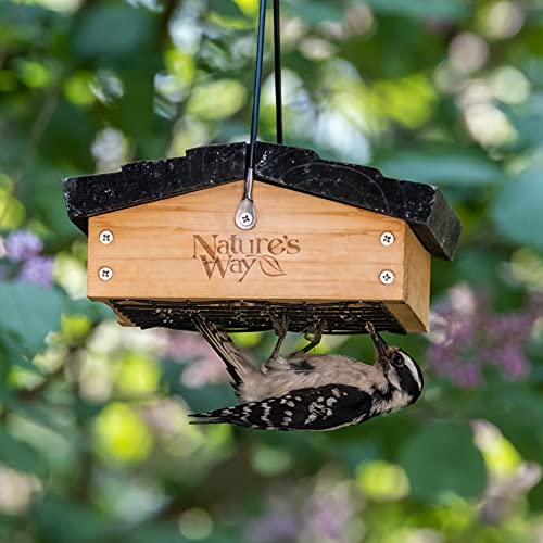 Nature's Way Bird Products CWF2 Cedar wood Suet Upside-Down Bird Feeder, 8.5"L x 8.5"W x 4.13"H, Black