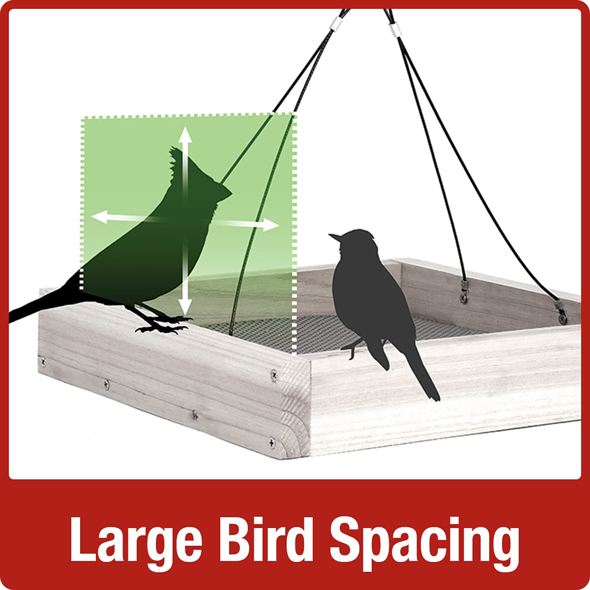 Nature's Way Bird Products CWF3 Cedar Platform Tray Bird Feeder 12" x 12"