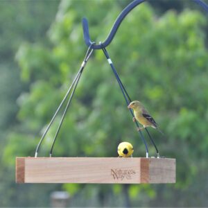 Nature's Way Bird Products CWF3 Cedar Platform Tray Bird Feeder 12" x 12"