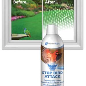 WINDOWALERT Stop Bird Attack (9oz) - Temporary Spray Coating Eliminates Reflection of Bird in Window - Made in The USA