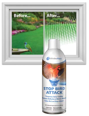 WINDOWALERT Stop Bird Attack (9oz) - Temporary Spray Coating Eliminates Reflection of Bird in Window - Made in The USA