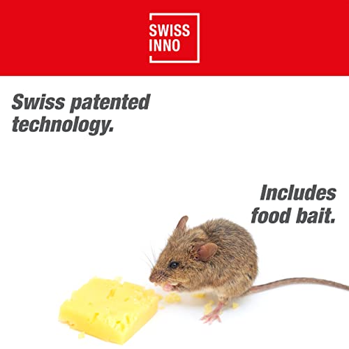 SWISSINNO Mouse Trap No See No Touch . Effective, non-contact + non-visible Catch + Kill with no-fail catching. Pre-baited with Food Bait. Humane Certified Design, Easy to Use, Safe + Reusable (1x)