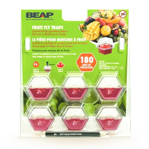 BEAPCO 10036 7 Red 6-Pack Premium Fruit Fly 6 Pre-Filled Trap Flies Indoors | Easy Effective and Safe to Use | Food-Based Lure/Bait Catcher