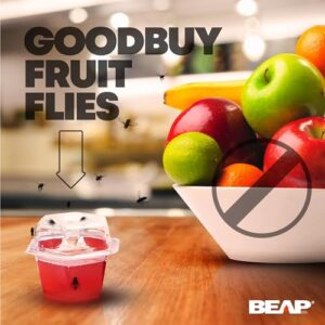 BEAPCO 10036 7 Red 6-Pack Premium Fruit Fly 6 Pre-Filled Trap Flies Indoors | Easy Effective and Safe to Use | Food-Based Lure/Bait Catcher