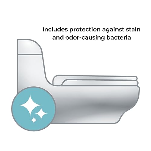 Centoco AM500STSCCSS-001 Antimicrobial Elongated Plastic Toilet Seat, Open Front No Cover, Stainless Steel Hinges, Heavy Duty Commercial Use, Off-White