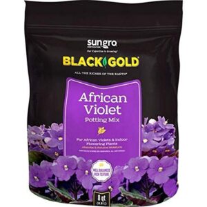 sun gro horticulture black gold african violet mix