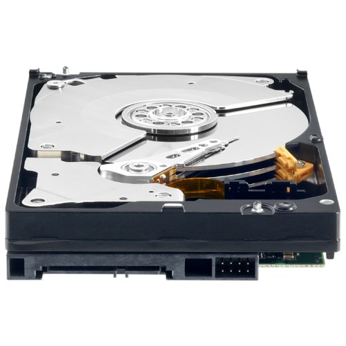 WD 4 TB 3.5-Inch Desktop Performance WDBSLA0040HNC-NRSN