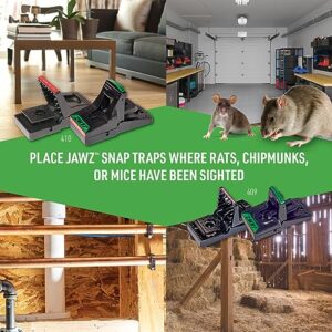 JT Eaton 409BULK Jawz Plastic Mouse Trap, For Solid or Liquid Bait (Pack of 24)