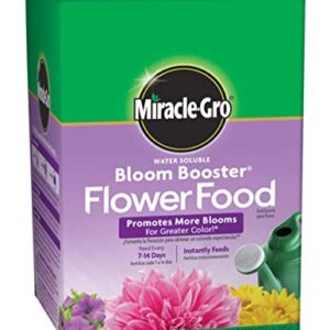 Miracle-Gro, 1-Pound 1360011 Water Soluble Bloom Booster Flower Food, 10-52-10, 1 Pack