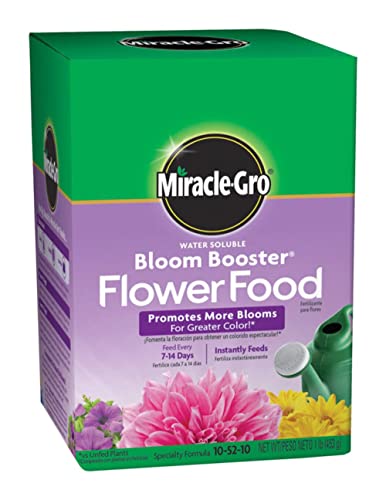 Miracle-Gro, 1-Pound 1360011 Water Soluble Bloom Booster Flower Food, 10-52-10, 1 Pack