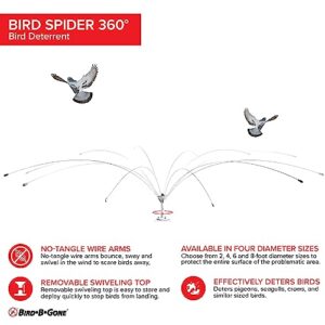 Bird B Gone MMBS800SPN Spinning Bird Deterrent, 8 Foot, Grey