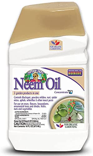 Neem Oil Fungicide Miticide Insecticide Conc