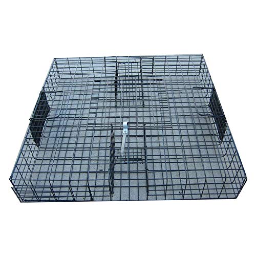 Rugged Ranch SQRTO Squirrelinator Trap CatchMor Live Chipmunk Squirrel Rat Mouse Rodent Small Animal Metal Wire 2 Door Trap Cage (Trap Only), Black