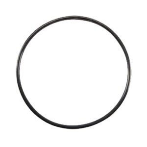 everpure ev307119 water filter o-ring (4" diameter)