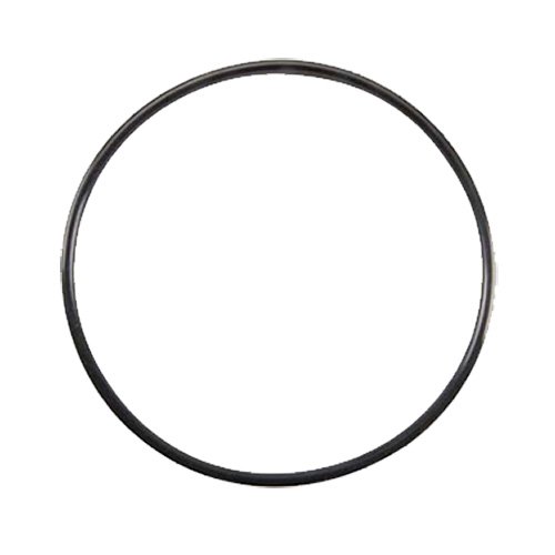 Everpure EV307119 Water Filter O-Ring (4" Diameter)