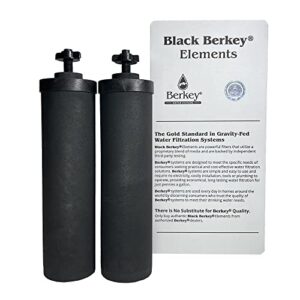 Berkey Authentic Black Berkey Elements BB9-2 Filters for Berkey Water Systems (Set of 4 Black Berkey Elements)