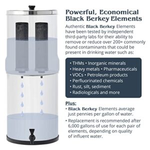 Berkey Authentic Black Berkey Elements BB9-2 Filters for Berkey Water Systems (Set of 8 Black Berkey Elements)