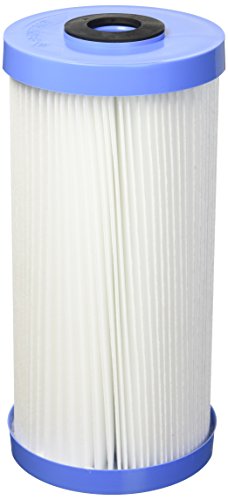 (Package Of 2) Pentek R30-BB Pleated Polyester Water Filters (9-3/4" x 4-1/2")