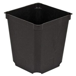 mcconkey square nursery pot, case of 60