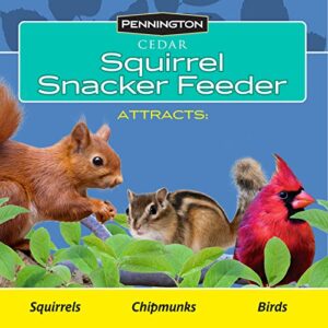 Pennington Cedar Squirrel Snacker Feeder, 1 LB Capacity