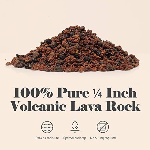 Bonsai Jack - Red/Maroon 1/4 inch Horticultural Lava Rock Soil Additive for Cacti, Succulents, & Plants - No Dyes or Chemicals - 100% Pure Volcanic Rock (2 Gallons)