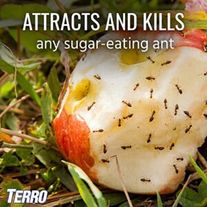 TERRO T1812 Outdoor Liquid Ant Killer Bait Stakes - 8 Traps