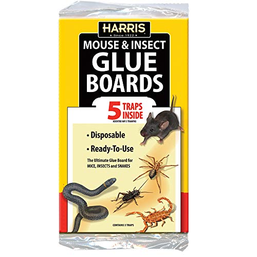 Harris Mouse & Insect Glue Boards, 5 Pre-Baited Traps