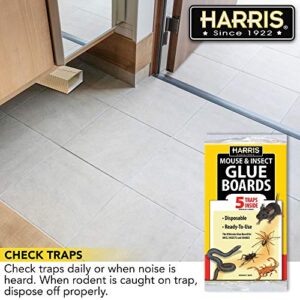 Harris Mouse & Insect Glue Boards, 5 Pre-Baited Traps