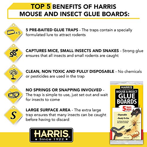 Harris Mouse & Insect Glue Boards, 5 Pre-Baited Traps