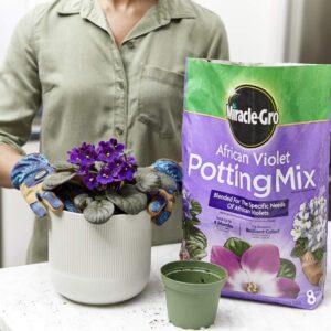 Miracle-Gro African Violet Potting Mix, 8 qt.