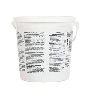 Premium Water Soluble Fertilizer, 2.5 lb. Container