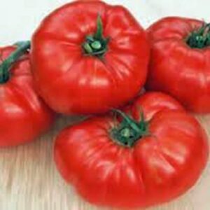 Tomato, Beefsteak, Heirloom, 25+ Seeds, Great Sliced Tomato, Delicious