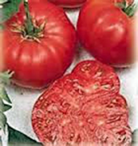 Tomato, Beefsteak, Heirloom, 25+ Seeds, Great Sliced Tomato, Delicious