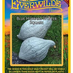 Everwilde Farms - 20 Blue Hubbard Winter Squash Seeds - Gold Vault Jumbo Seed Packet