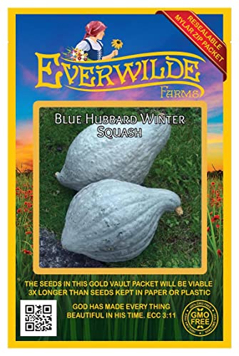 Everwilde Farms - 20 Blue Hubbard Winter Squash Seeds - Gold Vault Jumbo Seed Packet