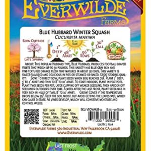 Everwilde Farms - 20 Blue Hubbard Winter Squash Seeds - Gold Vault Jumbo Seed Packet