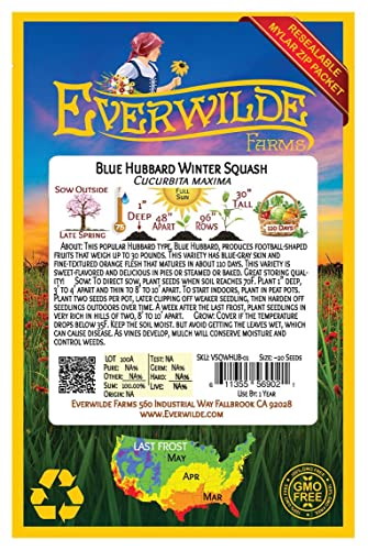 Everwilde Farms - 20 Blue Hubbard Winter Squash Seeds - Gold Vault Jumbo Seed Packet