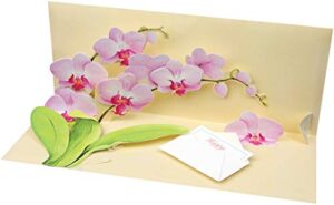 pop up panoramic greeting card potted orchid any occasion