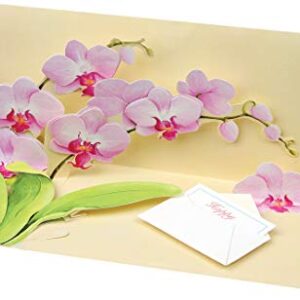 POP UP Panoramic Greeting Card Potted Orchid Any Occasion