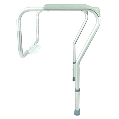 HEALTHLINE Toilet Safety Frame, Bathroom Safety Rail with Toilet Seat Assist Handrail Grab Bar, Medical Supply for Elderly, Adjustable Legs and Arm