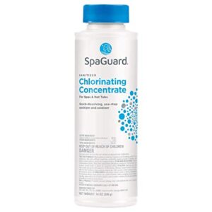 spaguard chlorinating concentrate (14 oz)