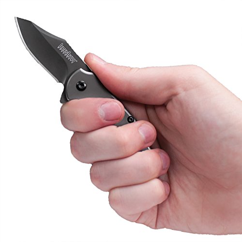 Kershaw Ember Pocketknife, 2" 8Cr13MoV Stainless Steel Drop Point Blade, Compact Folding Knife, Assisted Opening