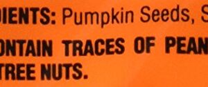 Trader Joe's in Shell Pumpkin Seeds (Pack of 2)