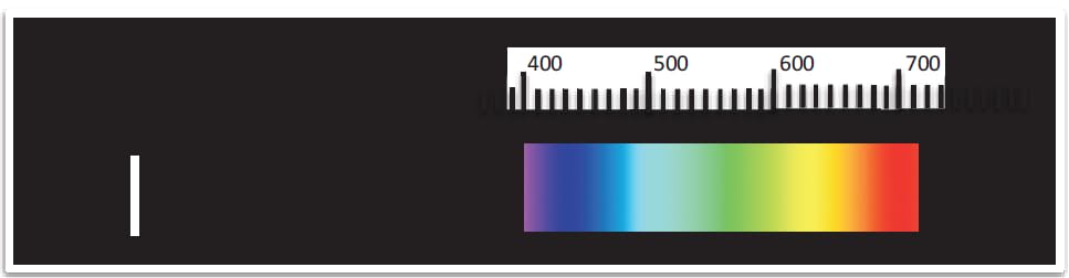 Eisco Labs Direct Vision Spectroscope in Metal Case