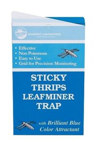 blue sticky trap thrips leafminer trap 15 pack