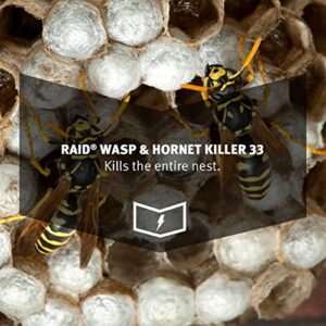 Raid Wasp and Hornet Spray- 17.5 ounces - 3 Pack