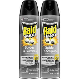 Raid Max Max Spider & Scorpion Killer - 12 oz - 2 pk