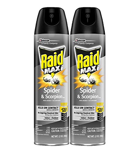 Raid Max Max Spider & Scorpion Killer - 12 oz - 2 pk